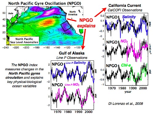 The North Pacific Gyre Oscillation Links Ocean Climate and Ecosystem ...